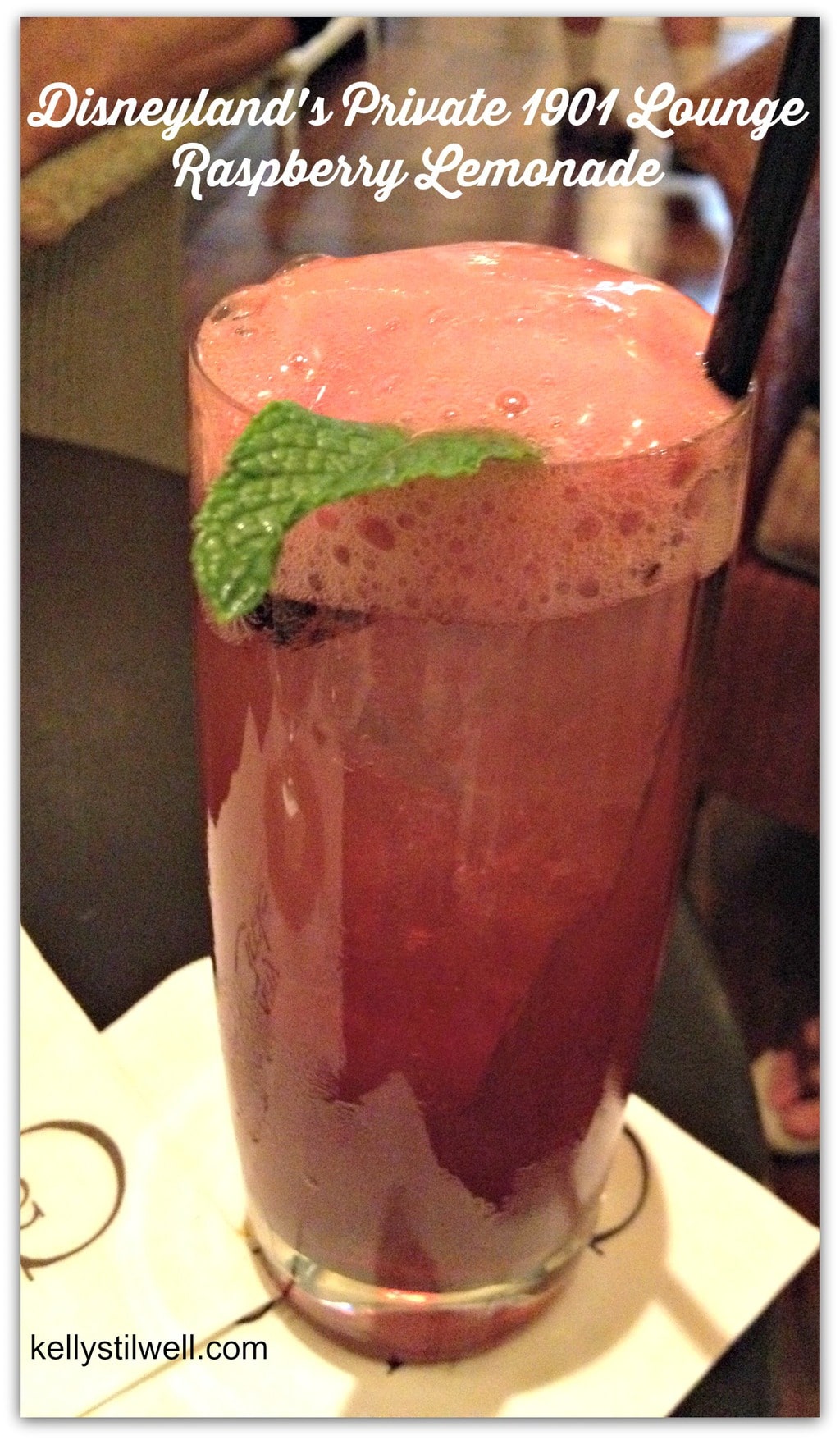 1901 Lounge at Disney's California Adventure - Food Fun & Faraway Places