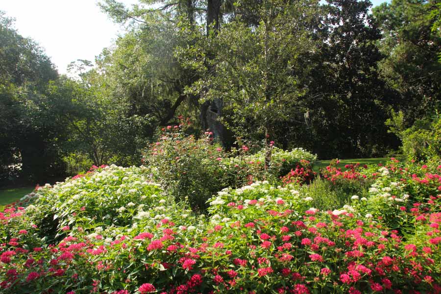 Airlie Gardens in the Wilmington Beaches - Food Fun & Faraway Places