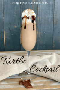 How to Make a Turtle Cocktail - Food Fun & Faraway Places