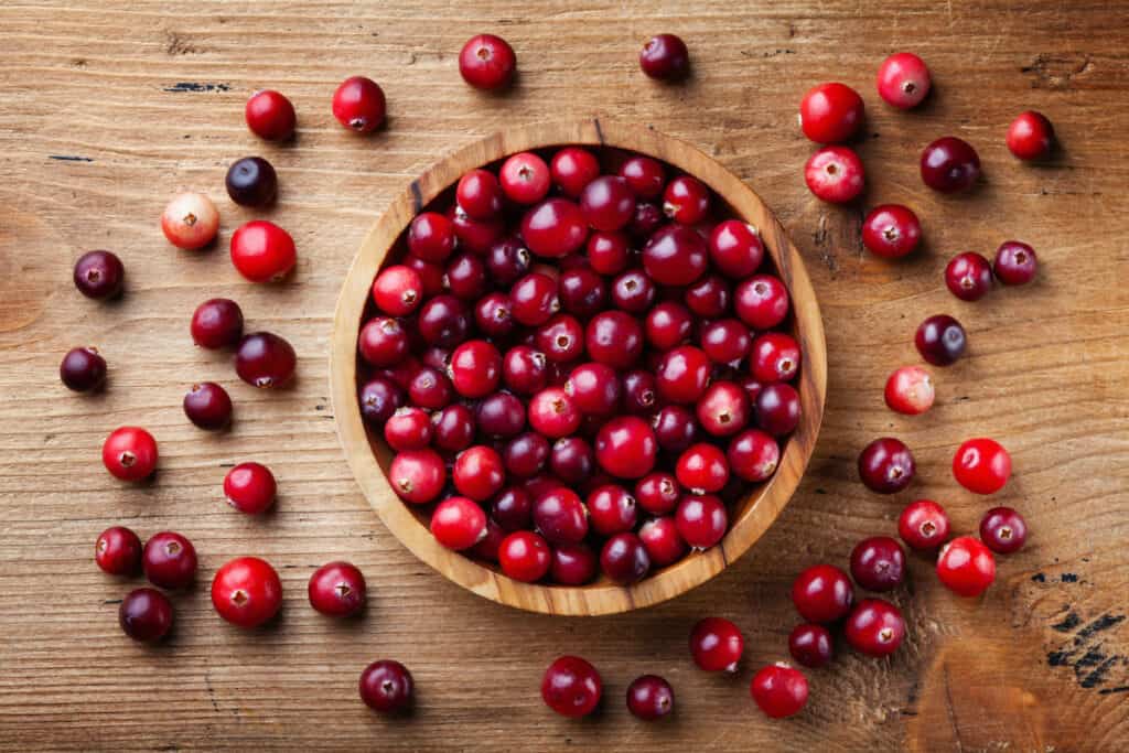 Homemade Cranberry Salsa - Food Fun & Faraway Places