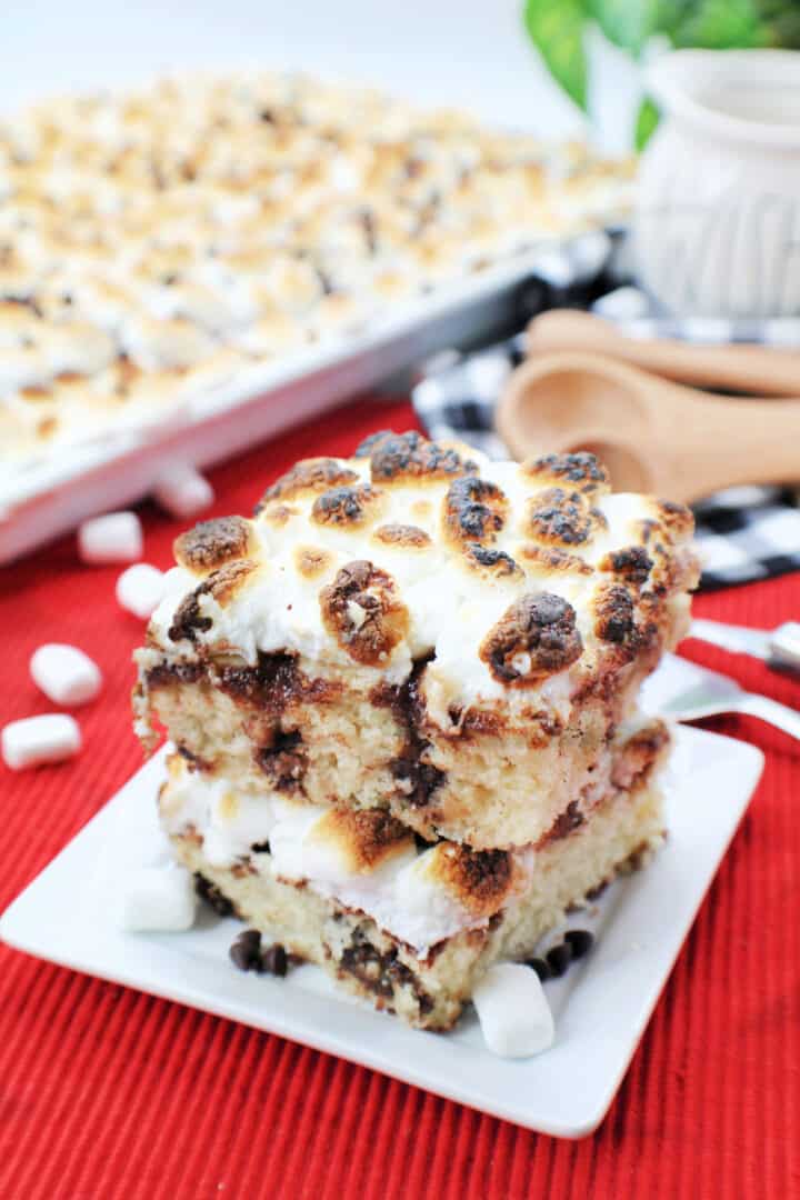 Easy Sheet Pan Smores Cake - Food Fun & Faraway Places
