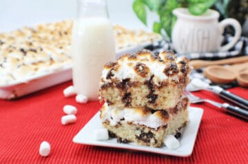 Easy Sheet Pan Smores Cake - Food Fun & Faraway Places