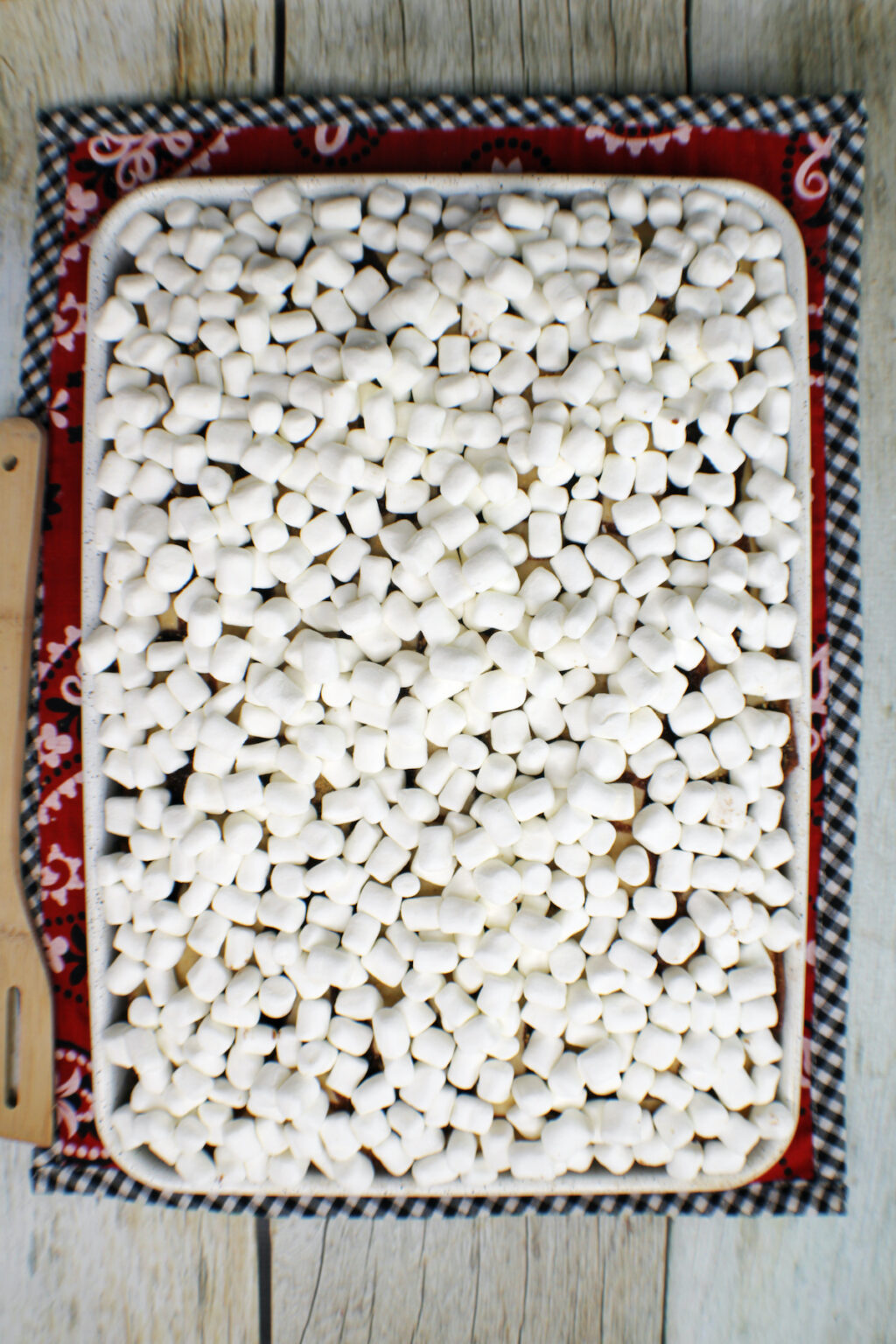 Easy Sheet Pan Smores Cake - Food Fun & Faraway Places