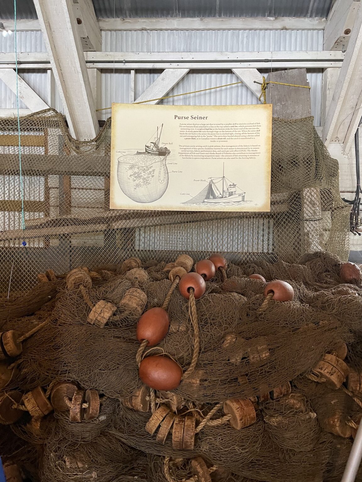 Holland America Alaska Excursions - Food Fun & Faraway Places