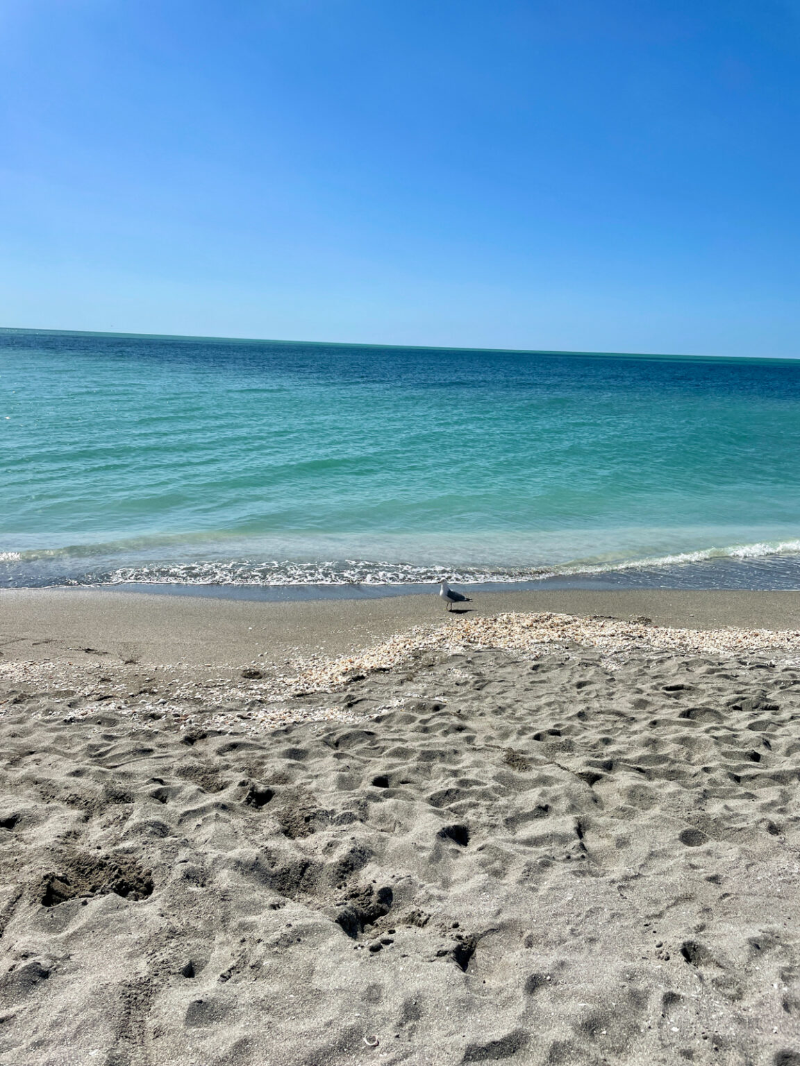 Best Beaches in Siesta Key Florida - Food Fun & Faraway Places