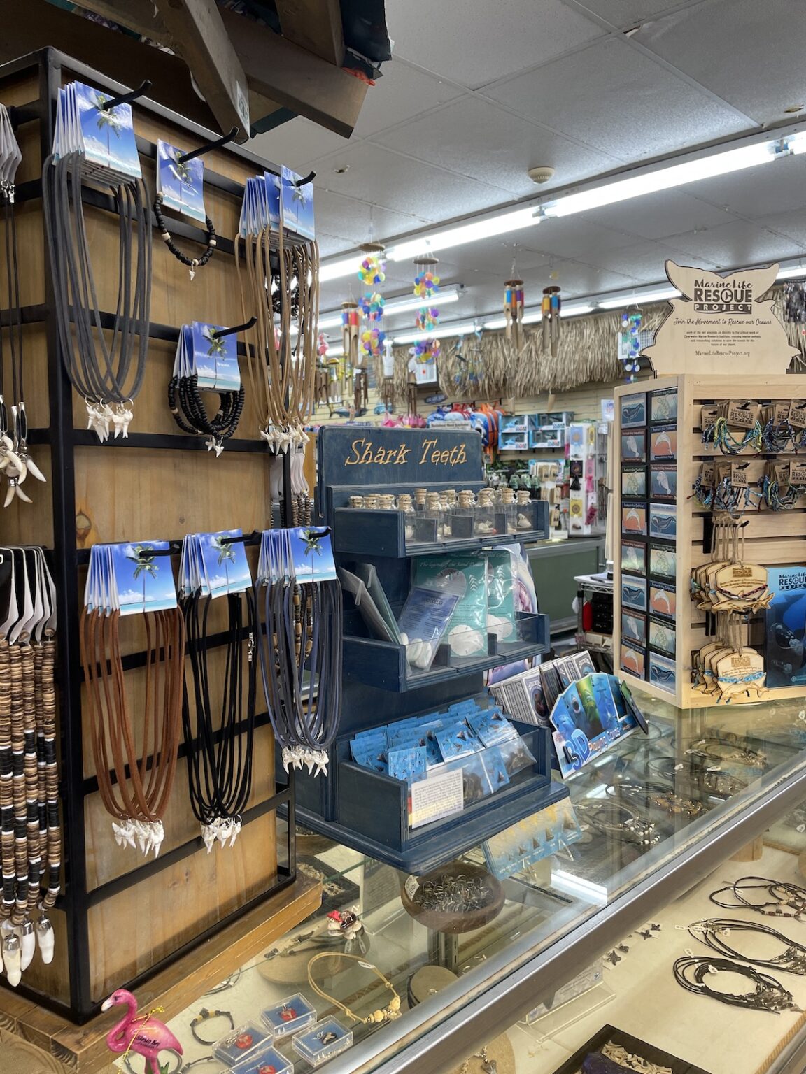 Things to Do in Siesta Key Florida - Food Fun & Faraway Places