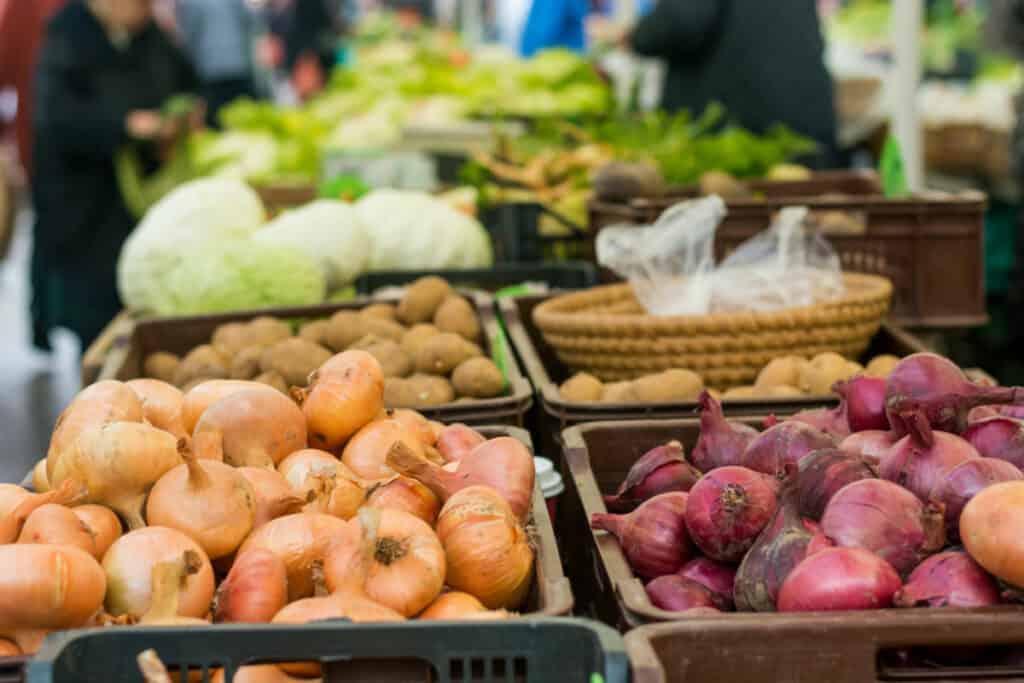 Things to Do in Siesta Key Florida - Food Fun & Faraway Places