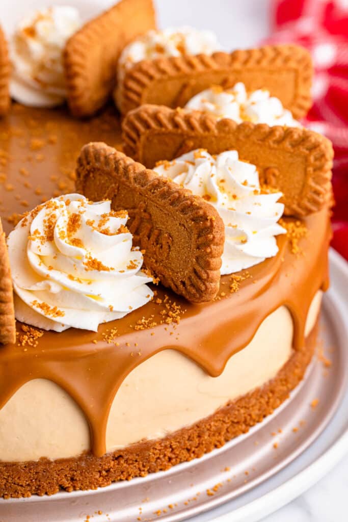 Biscoff Cheesecake - Food Fun & Faraway Places